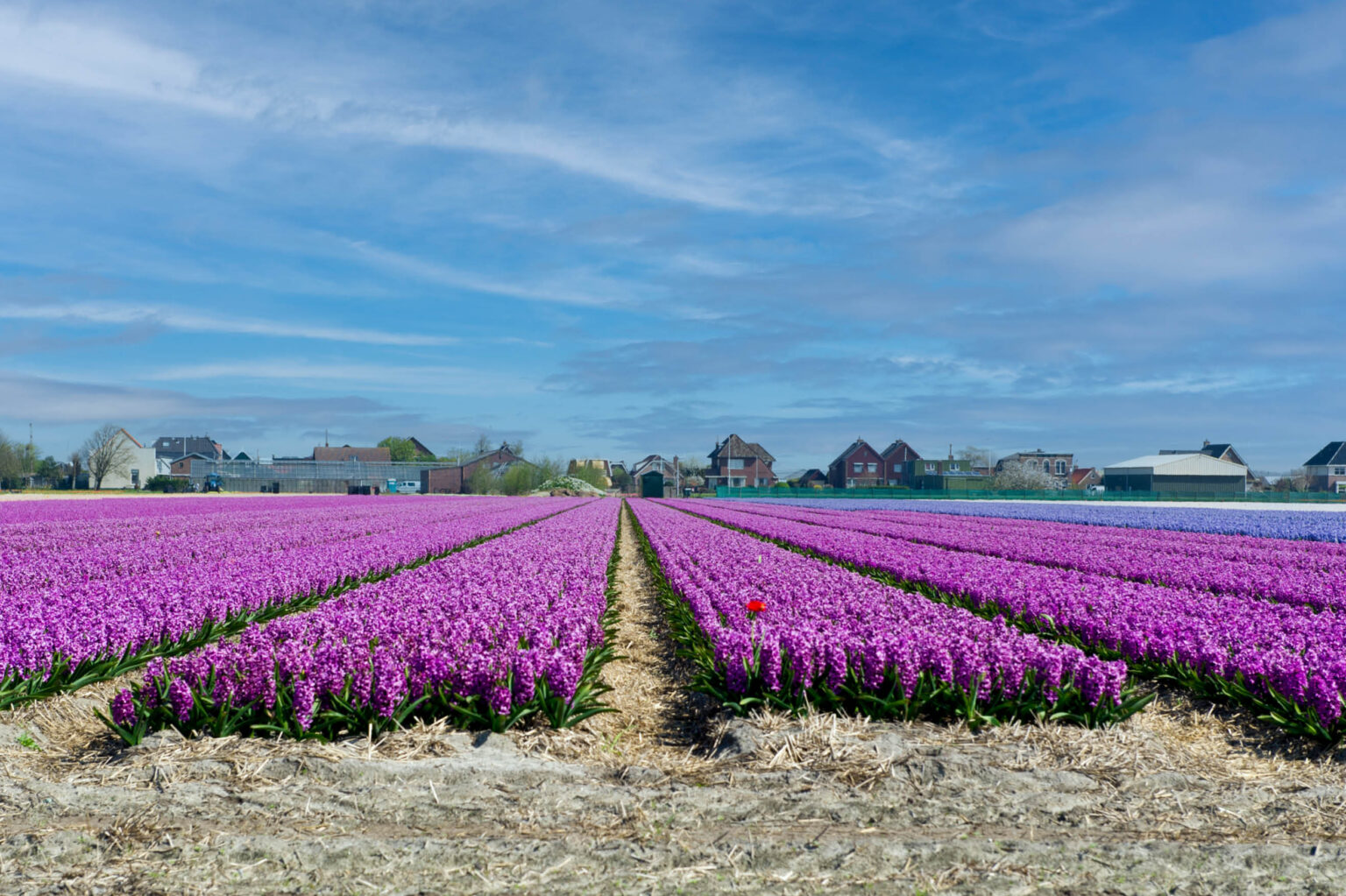 Sloepenroute | De Bollenstreek | Hillegom-Teylingen - Waterkaarten